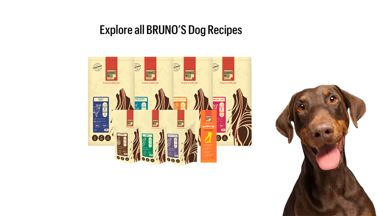 Wet Cat Food | Bruno's Wild Essentials