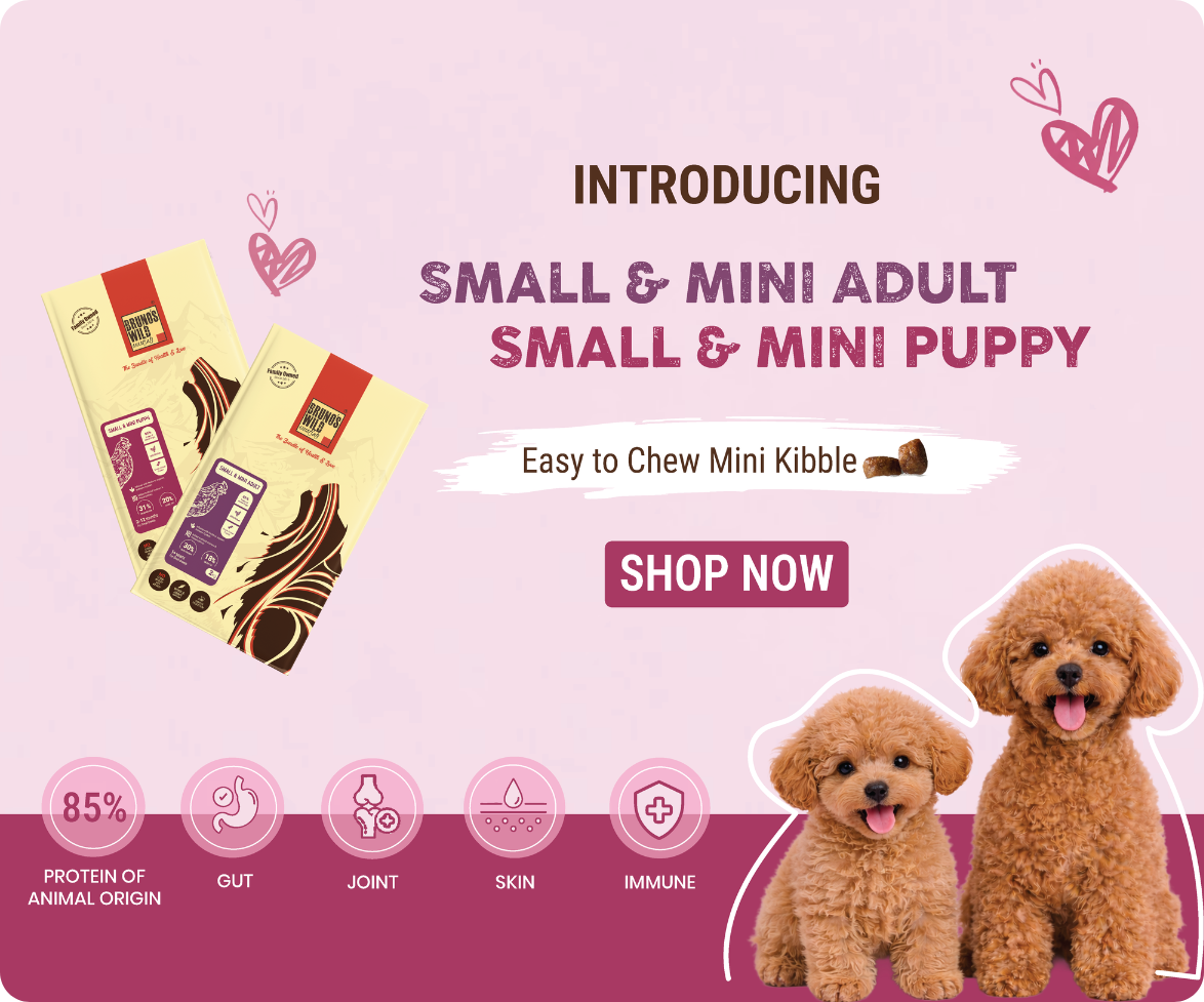 Bruno's Wild Essentials | Pet Food | Family Owned since 2016
