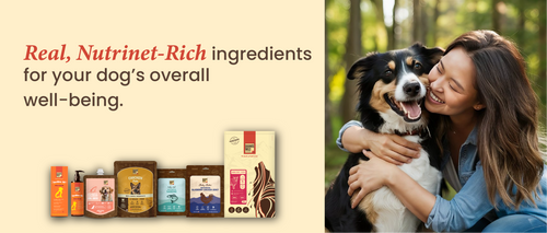 Shop For Puppy & Adult Dog – Food, Treats, Supplements & More | Bruno’s ...